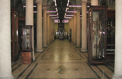 30 of the Oldest Medical Schools in the World | Faculty of Medicine