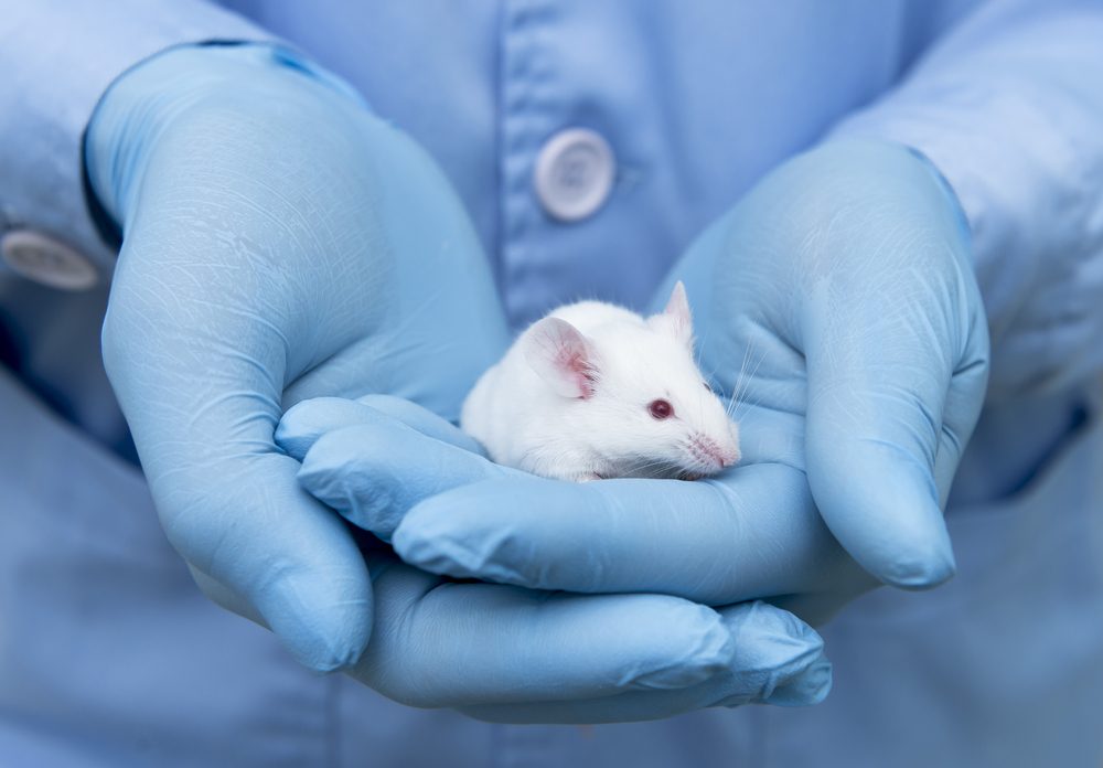 FDA-approved Drug Shows Promise Against ALS In Mice | Faculty of Medicine